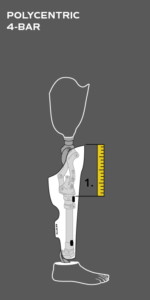 Measurement Guide – ALLELES Design Studio