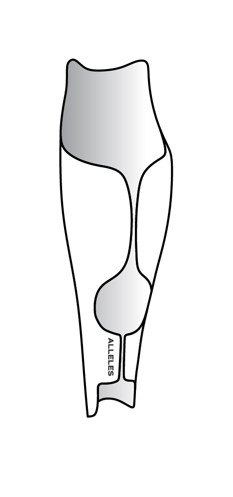 Below Knee Cover – ALLELES Design Studio